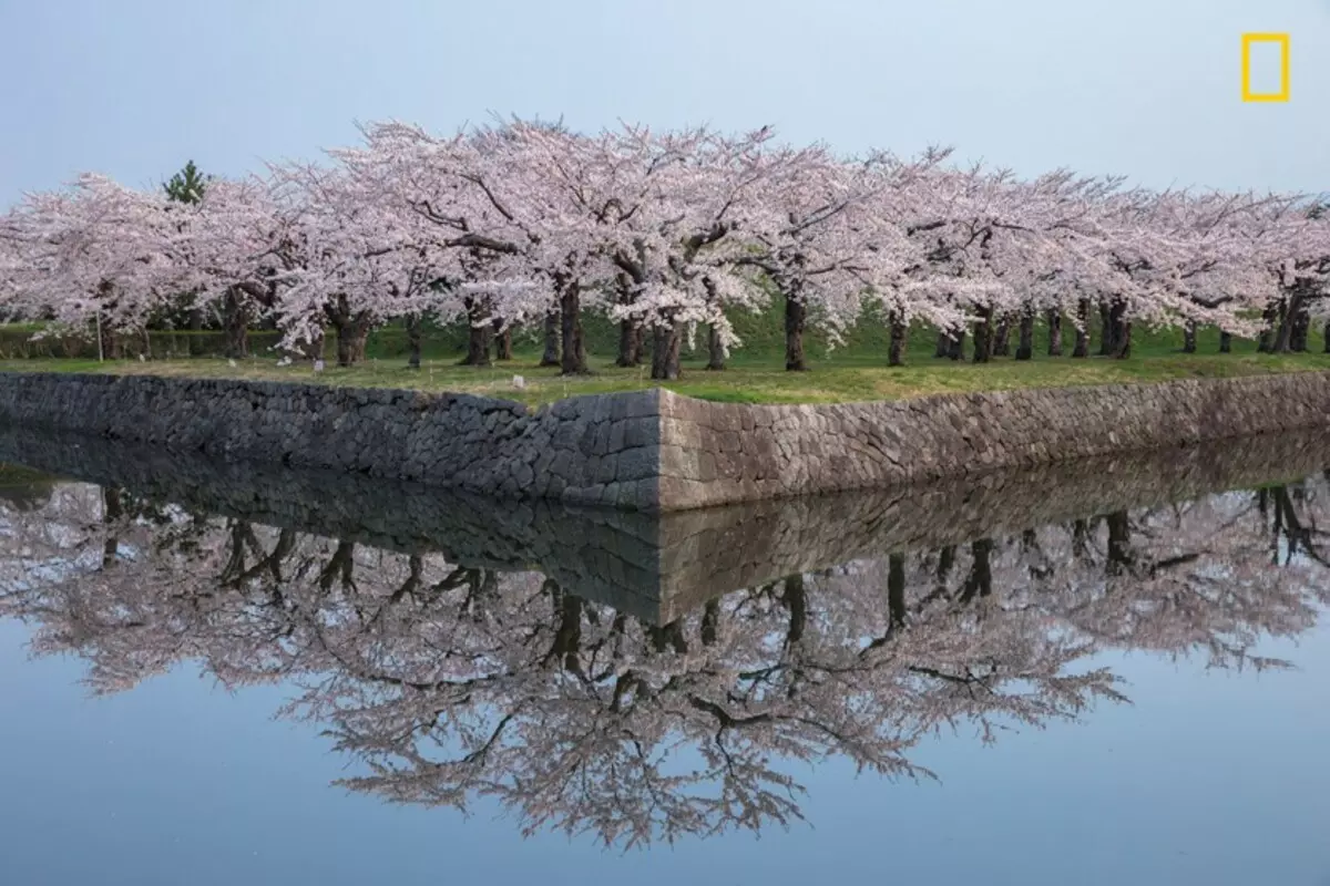 Zanimive fotografije National Geographic Potovalni fotograf 2017 8135_8