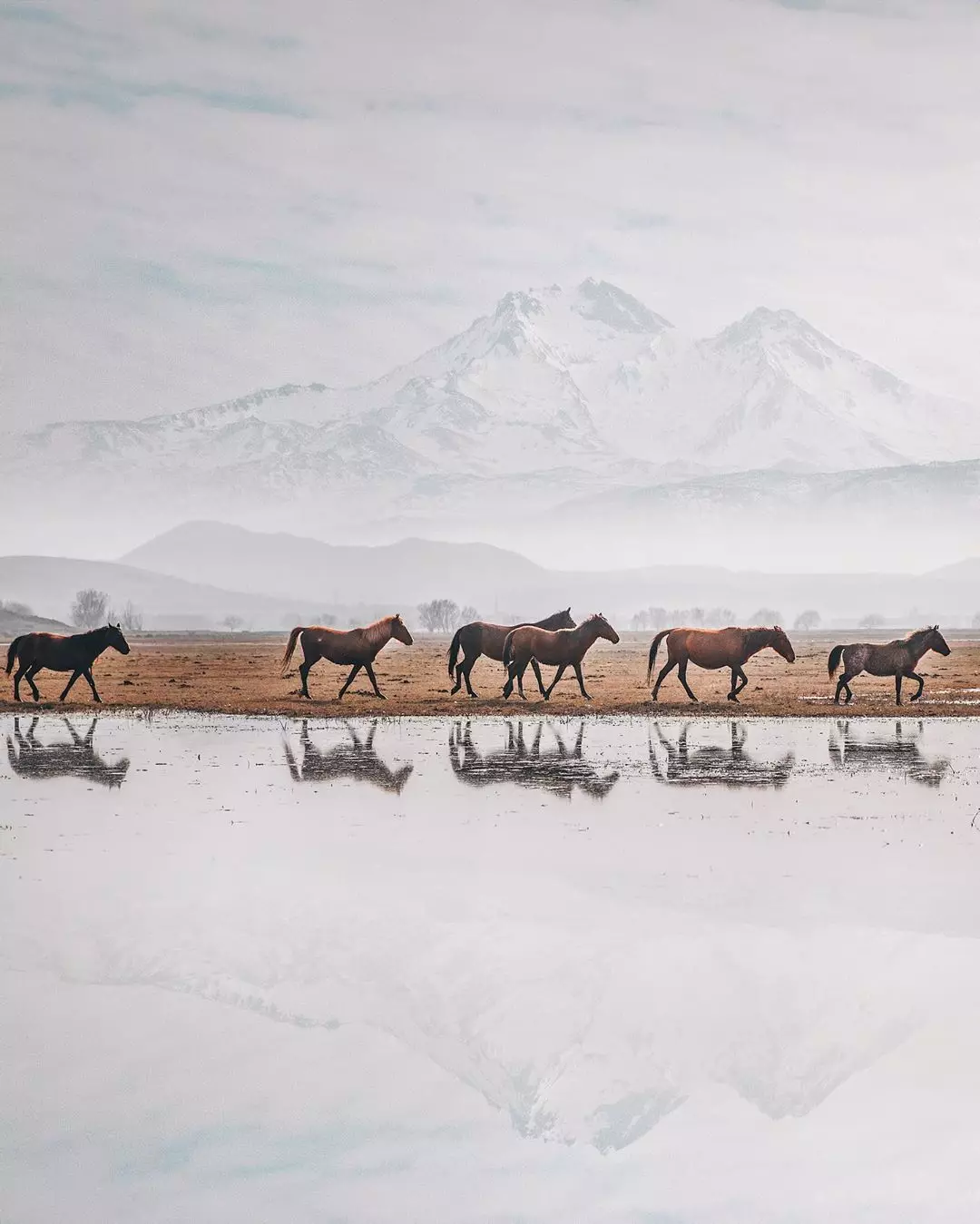 Vzrušujúce fotografie z Ahmet Erdema Travel 81_19