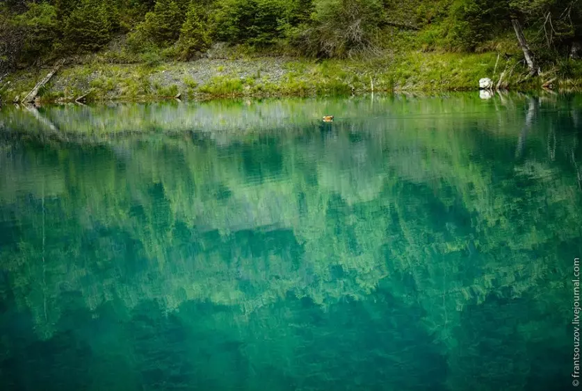 溺れた森：レンズの湖沼の中の湖 8224_10