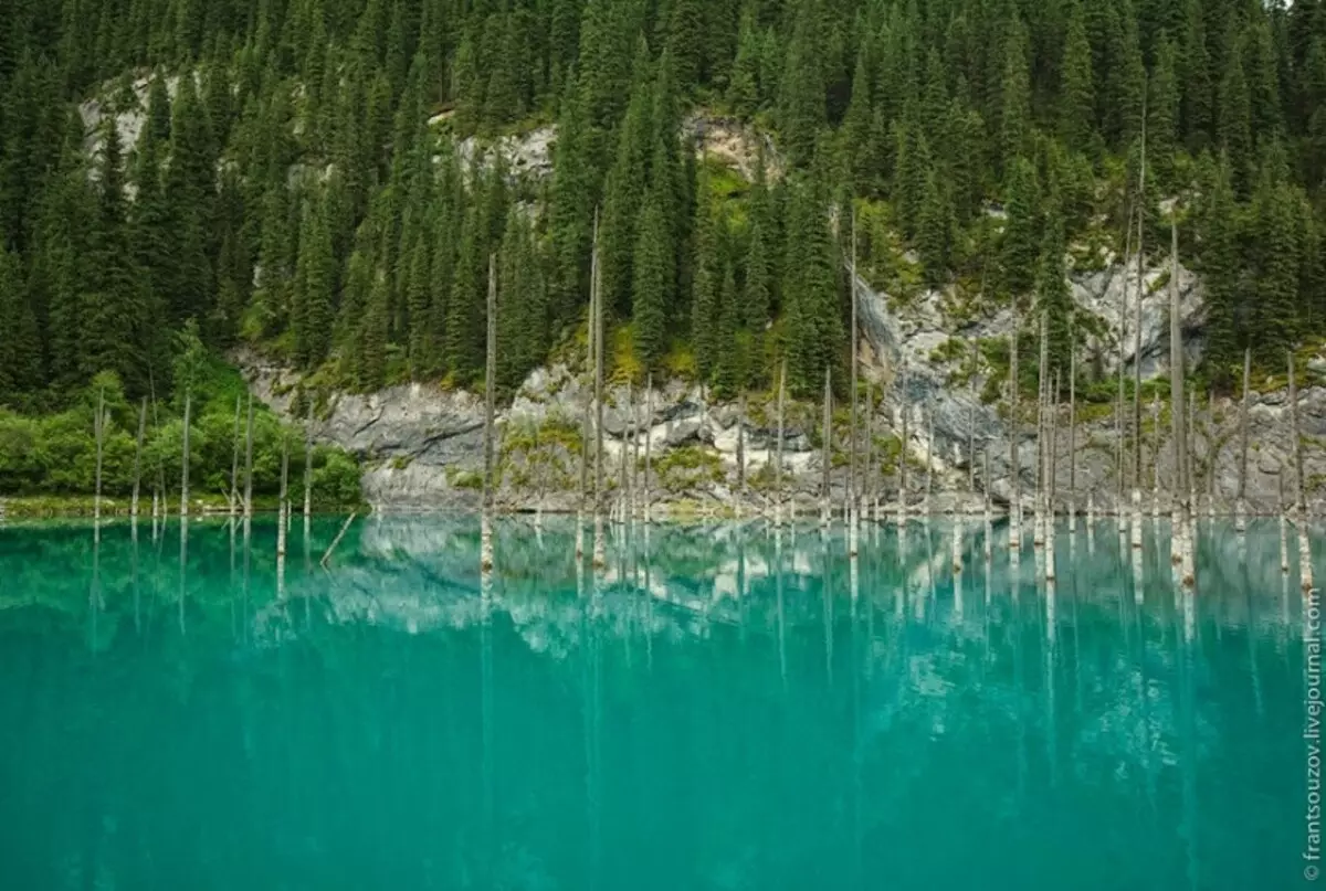 Pădurea înecului: Lacul urmăresc în lentila franceză Denis 8224_11