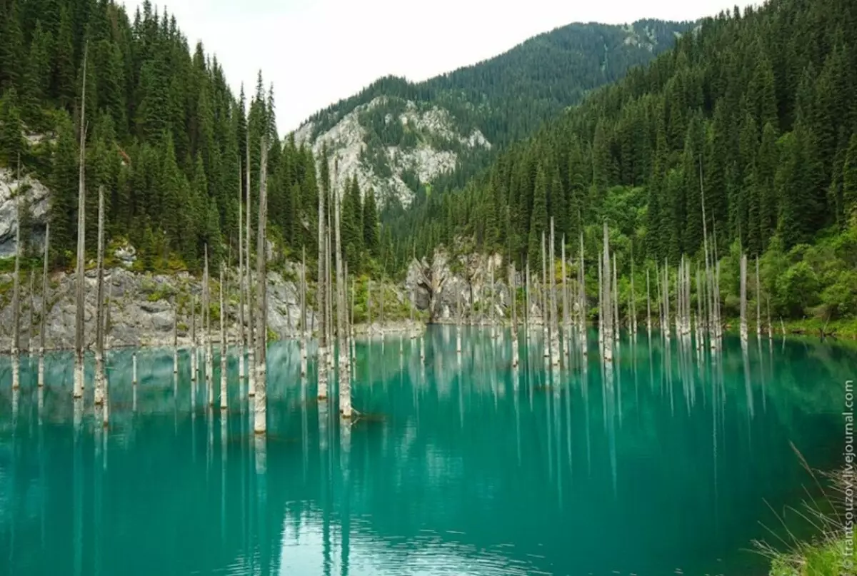 Utopite šume: Lake Cains u leću Francuski Denis 8224_14