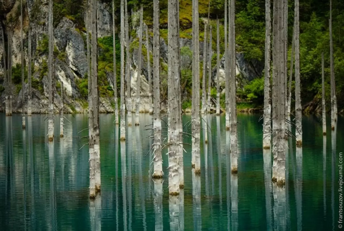 Utopeno lesní: lake v čočkové francouzské denis 8224_15