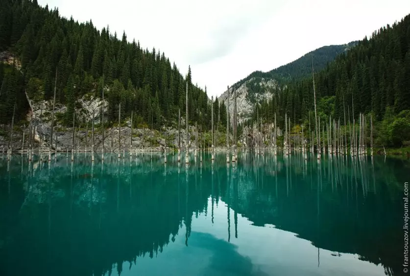 Utapana šuma: Jezero Kains u objektivu Francuski Denis 8224_16