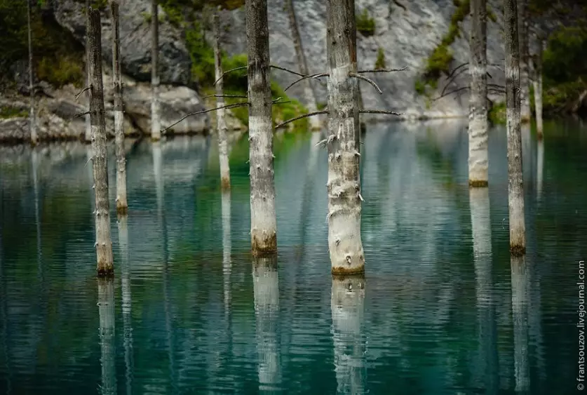 溺れた森：レンズの湖沼の中の湖 8224_17