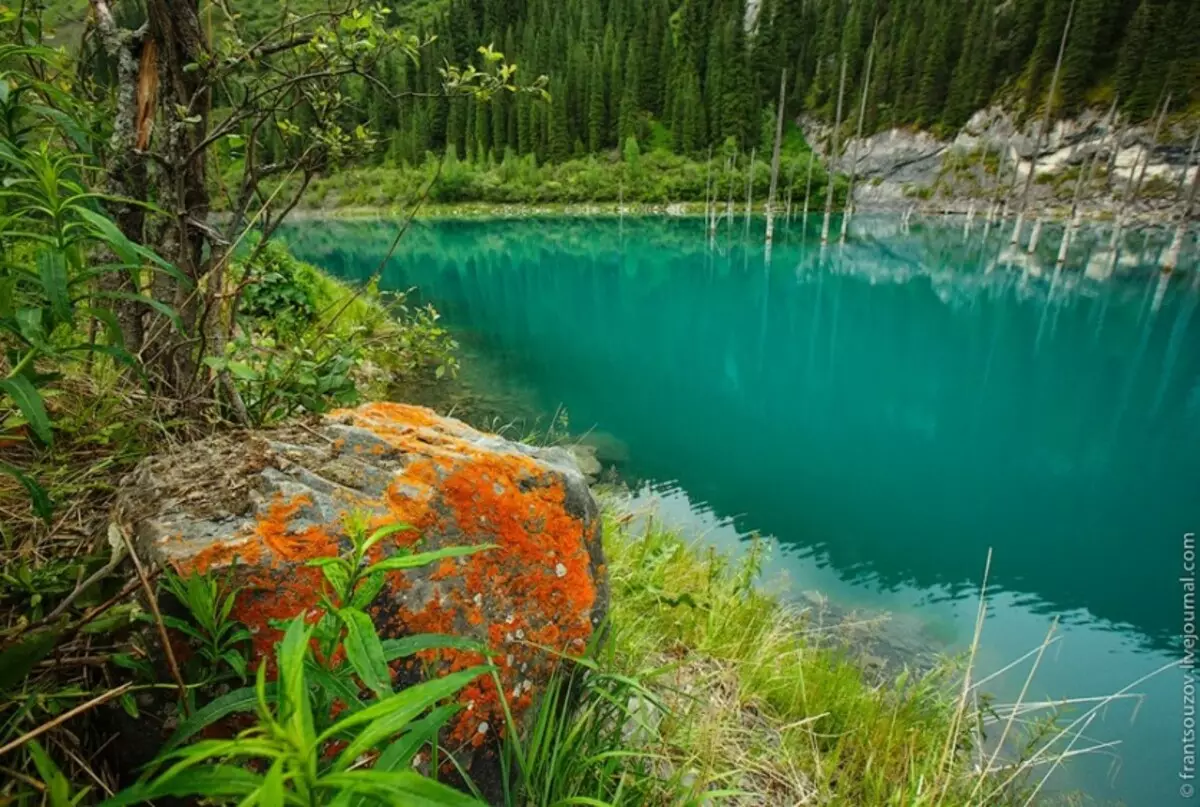 Utopeno lesní: lake v čočkové francouzské denis 8224_18