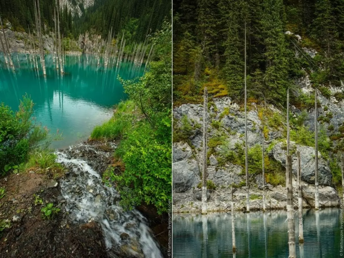 Utopeno lesní: lake v čočkové francouzské denis 8224_2