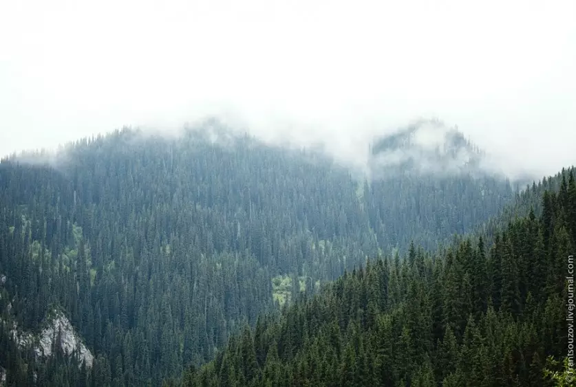 Drown Forest: Lake Cains i linsen fransk Denis 8224_21