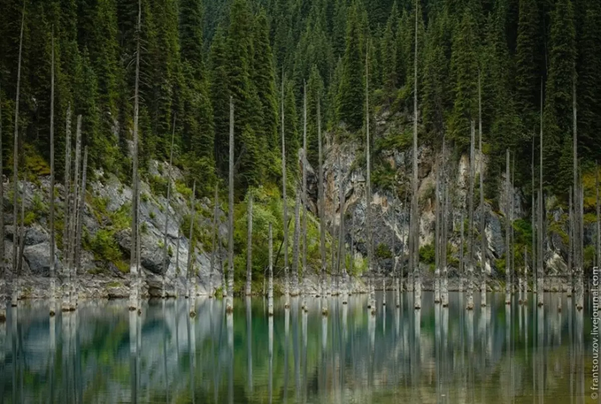 Hutan Tenggelam: Danau Cains In The Lens French Denis 8224_22