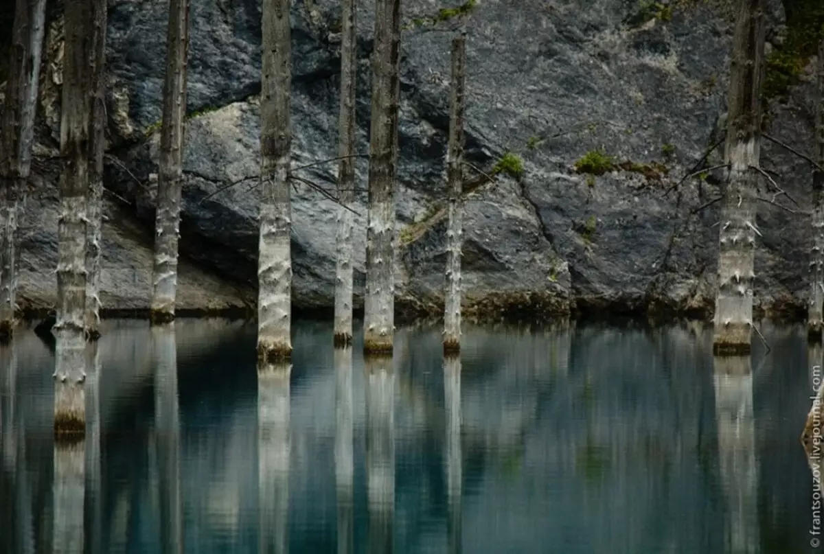 Utapana šuma: Jezero Kains u objektivu Francuski Denis 8224_23