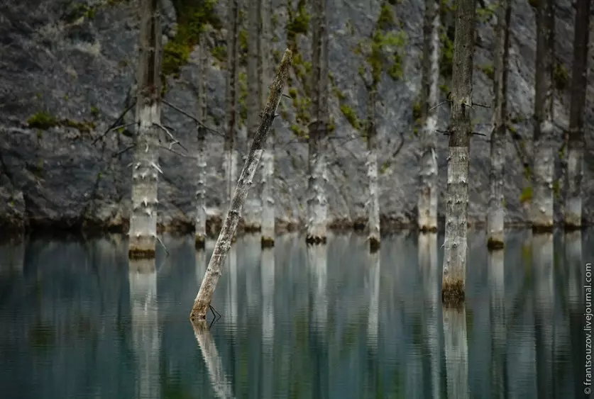 Pădurea înecului: Lacul urmăresc în lentila franceză Denis 8224_24