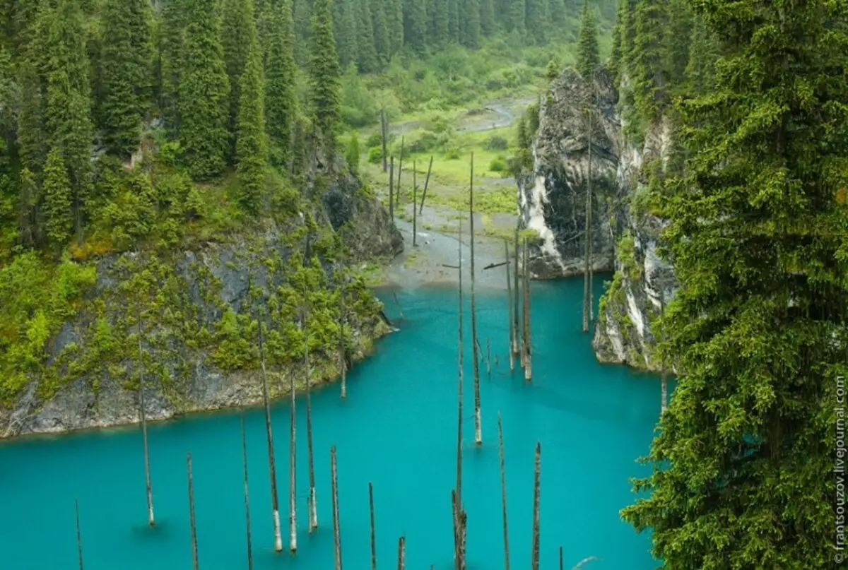 Utopite šume: Lake Cains u leću Francuski Denis 8224_28