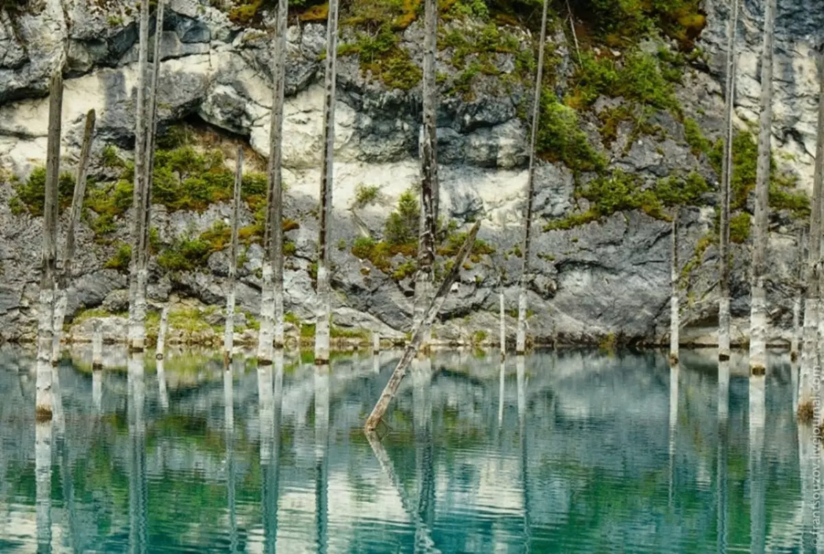 Utopeno lesní: lake v čočkové francouzské denis 8224_4