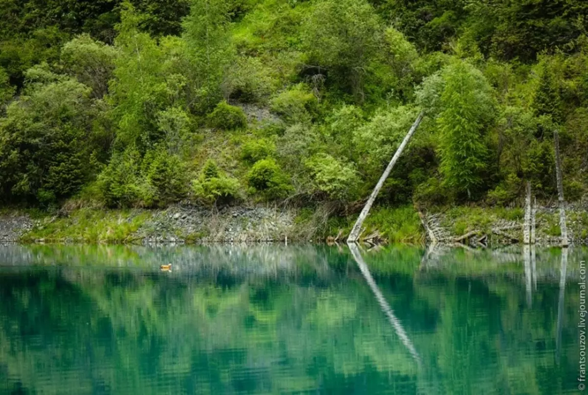 溺れた森：レンズの湖沼の中の湖 8224_6