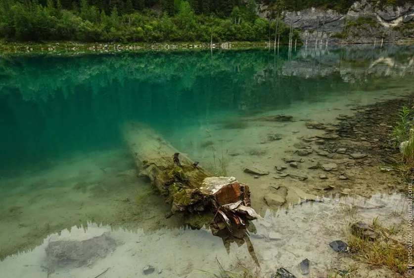 Pădurea înecului: Lacul urmăresc în lentila franceză Denis 8224_8