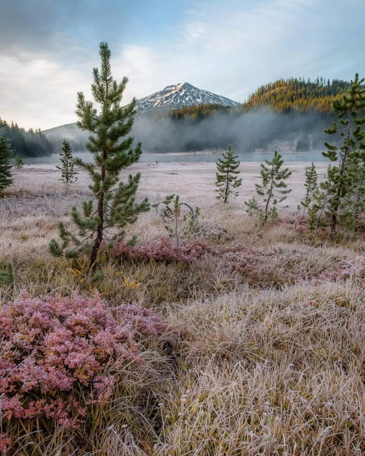 Pragtige natuur in die foto's van Ross Lipson (Ross Lipson) 8243_11