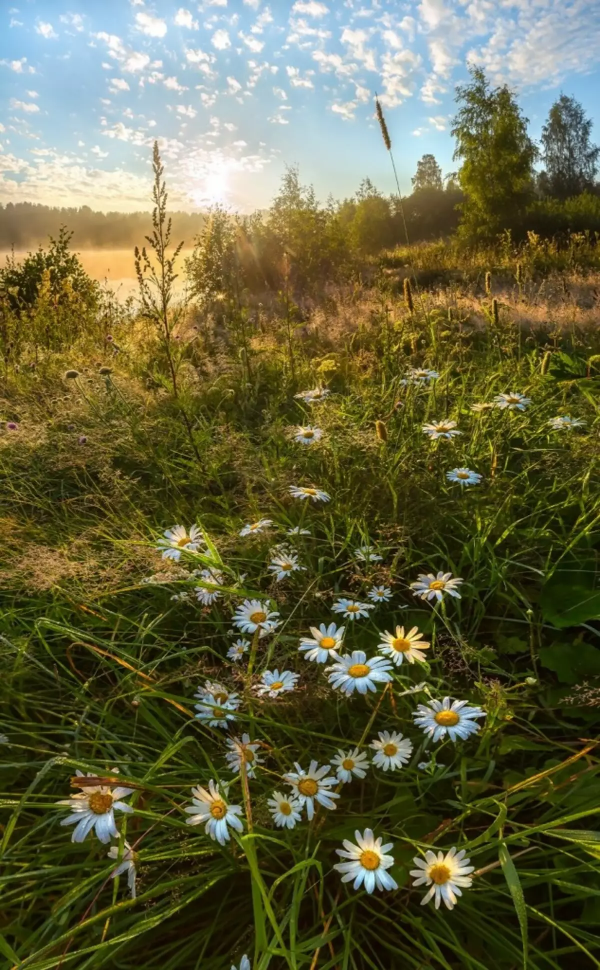 Fascinerend landschap Fedor Lashkov;) 8348_28