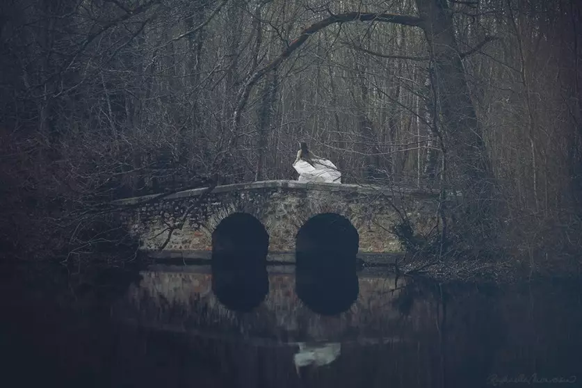 Keď realita vyzerá ako rozprávka,) úžasné fotografie RAPHAEL MONVUISENA (Raphaelle Monvoisin) 8350_29