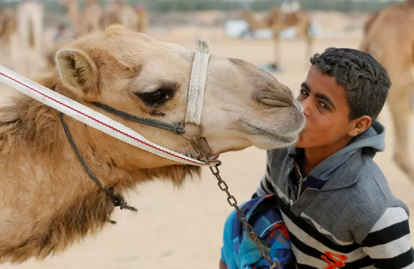 Noe uvanlig: Racing på kameler i Egypt i linsen;) 8356_11