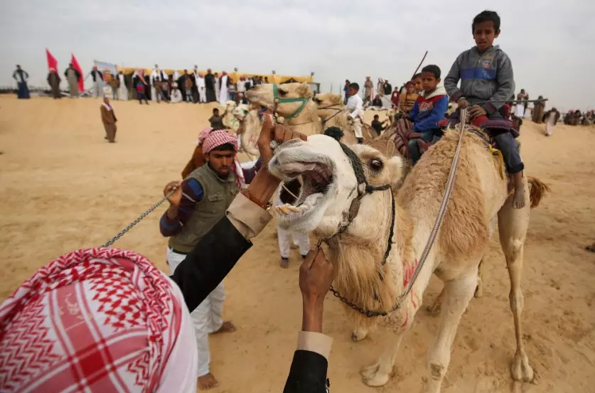 Noe uvanlig: Racing på kameler i Egypt i linsen;) 8356_3