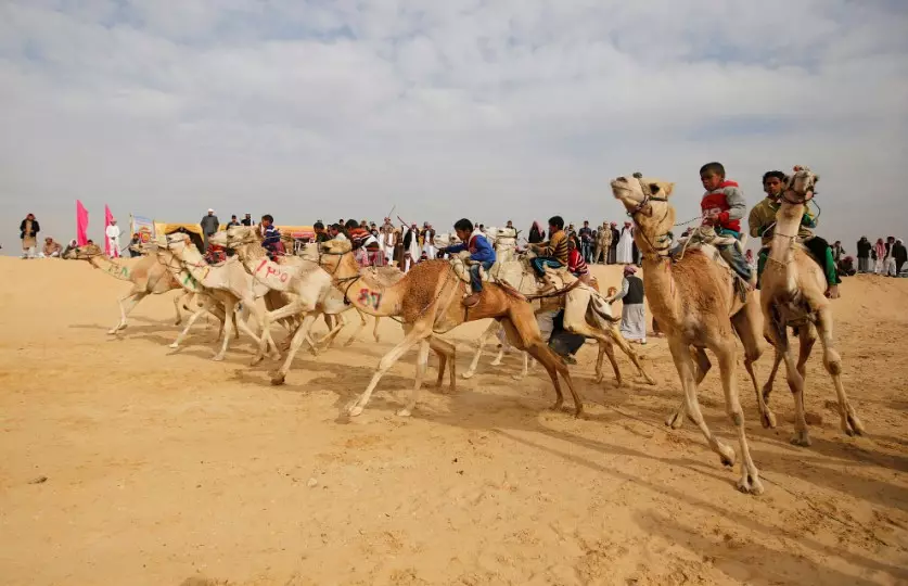 Noe uvanlig: Racing på kameler i Egypt i linsen;) 8356_5