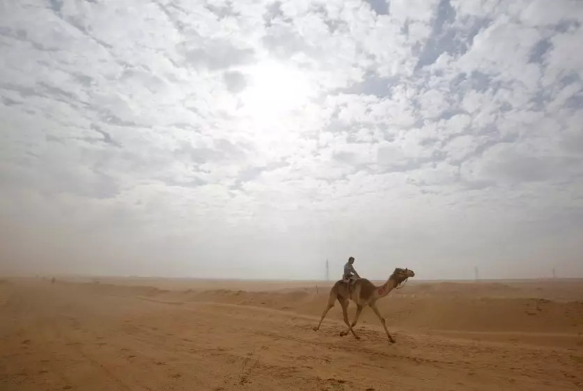 Eppes ongewéinlech: Racing op Kamellen an Ägypten an der Lens;) 8356_9