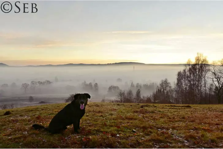 Дауыссыз синдроммен фотографтың көзімен әлем