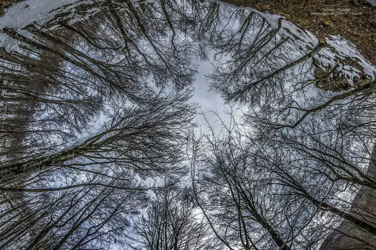 Perle de Croatie: Lacs d'hiver Plitvice à Tamas Tamas (Tamas Toth) 8428_17