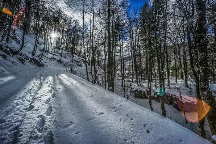 Pearl of Kroatia: Vinter Plitvice Lakes i Tamas Tamas (Tamas Toth) 8428_19