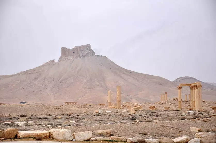 Neue freigebende alte Palmyra durch die Augen von Fotografen 8503_14