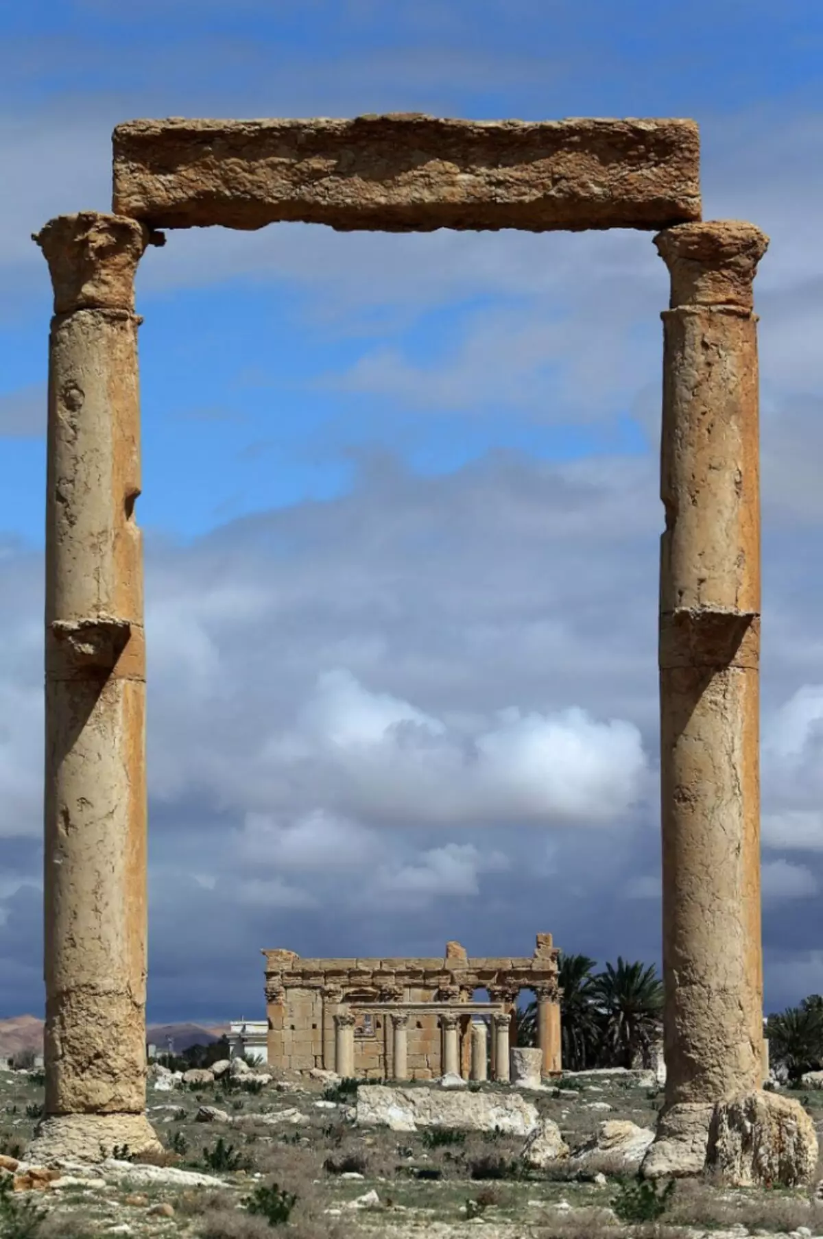 جدید Palmyra باستان باستان آزاد شده از طریق چشم عکاسان 8503_2