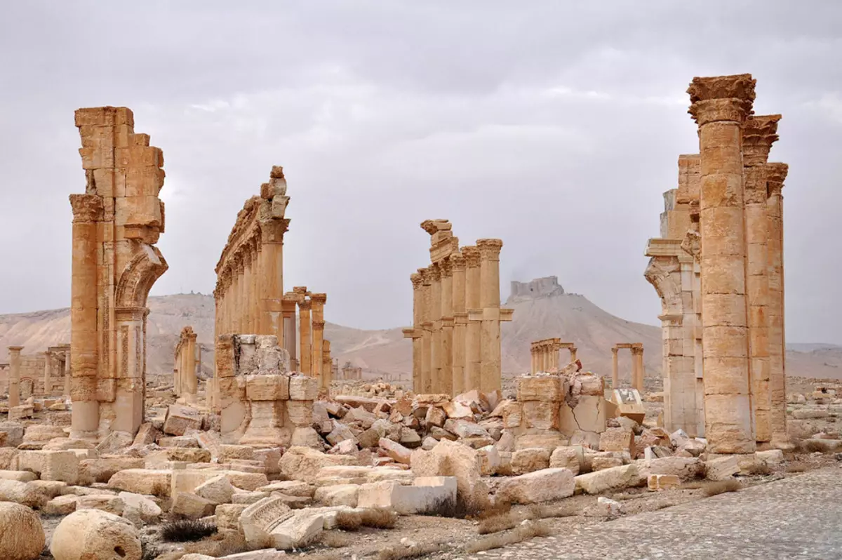 آزادی جدید از پالمر باستان