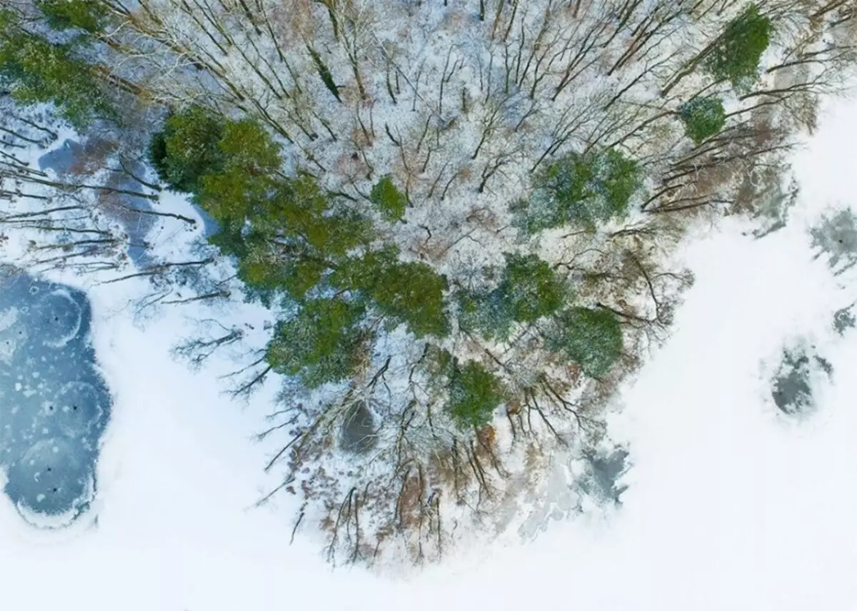 Neĝula blanka sezono;)) eŭropaj vintraj okuloj drone 8537_6