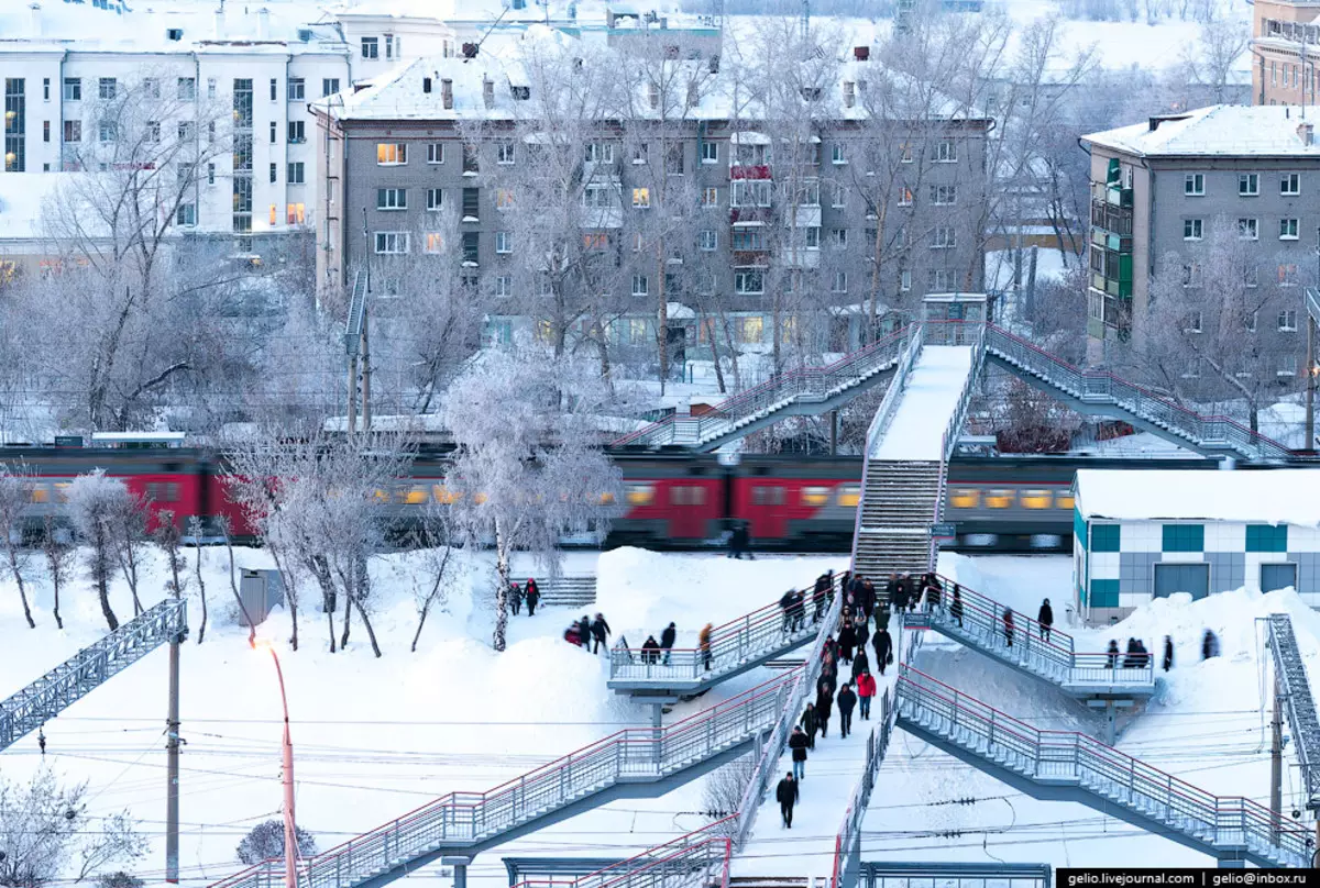 Jenis-jenis Snowy Novosibirsk 2017 dari Glory Stepanov 8581_38