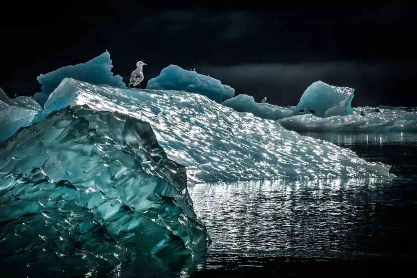 Las mejores fotos de National Geographic Febrero 2017 8607_11