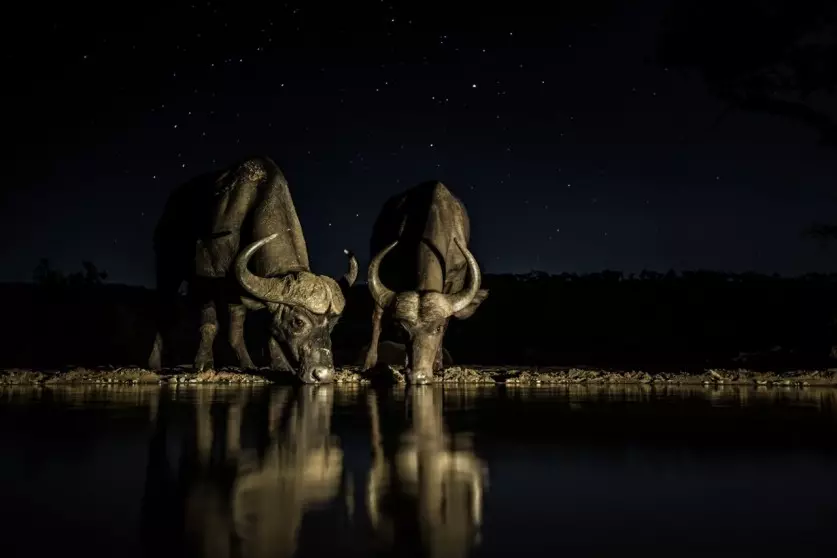 Las mejores fotos de National Geographic Febrero 2017 8607_14