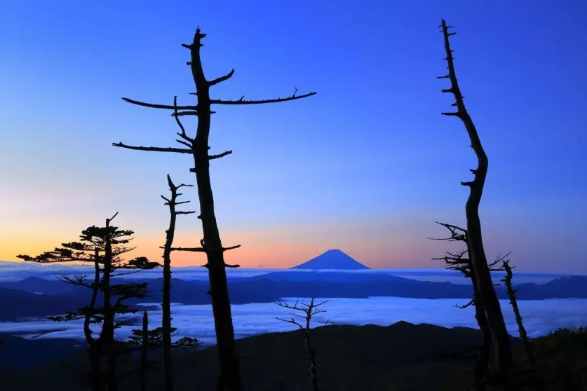 Las mejores fotos de National Geographic Febrero 2017 8607_3