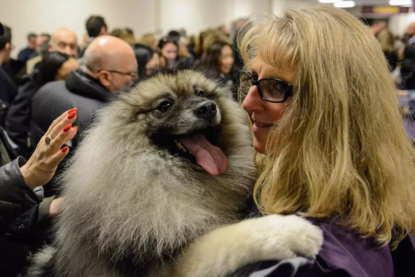 Għall fannijiet Barbos ;;) wirja tal-klieb Westminster Kennel Club 2017 8611_12