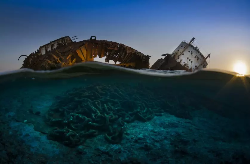 Increíbles instantáneas de los ganadores de la competencia de fotografía submarina 2017 8629_12