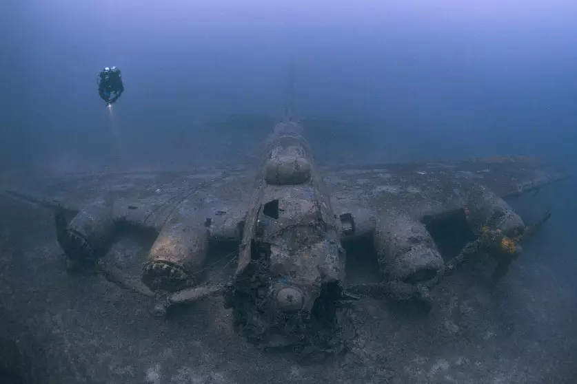 Incroyables instantanés des gagnants de la compétition de photographie sous-marine 2017 8629_5