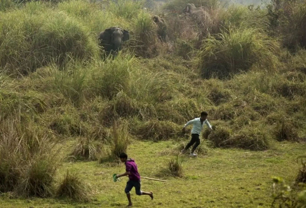 गत हप्ता वन्यजन्तुको सर्वश्रेष्ठ फोटोहरू 8635_13