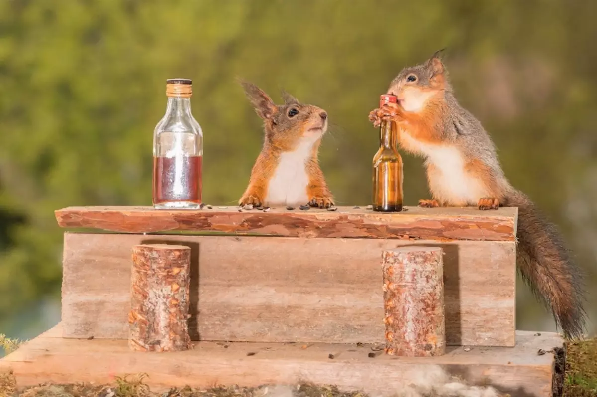 Jurugambar menjadikan gambar yang paling comel dari tupai, kerana dia menjadi kawan dengan mereka