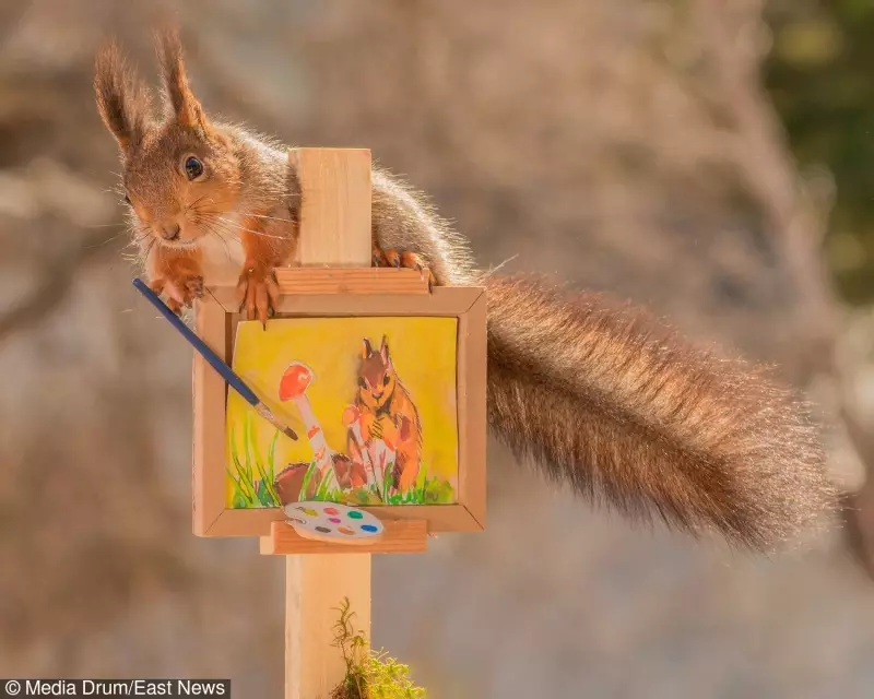 Jurugambar menjadikan gambar yang paling comel dari tupai, kerana dia menjadi kawan dengan mereka