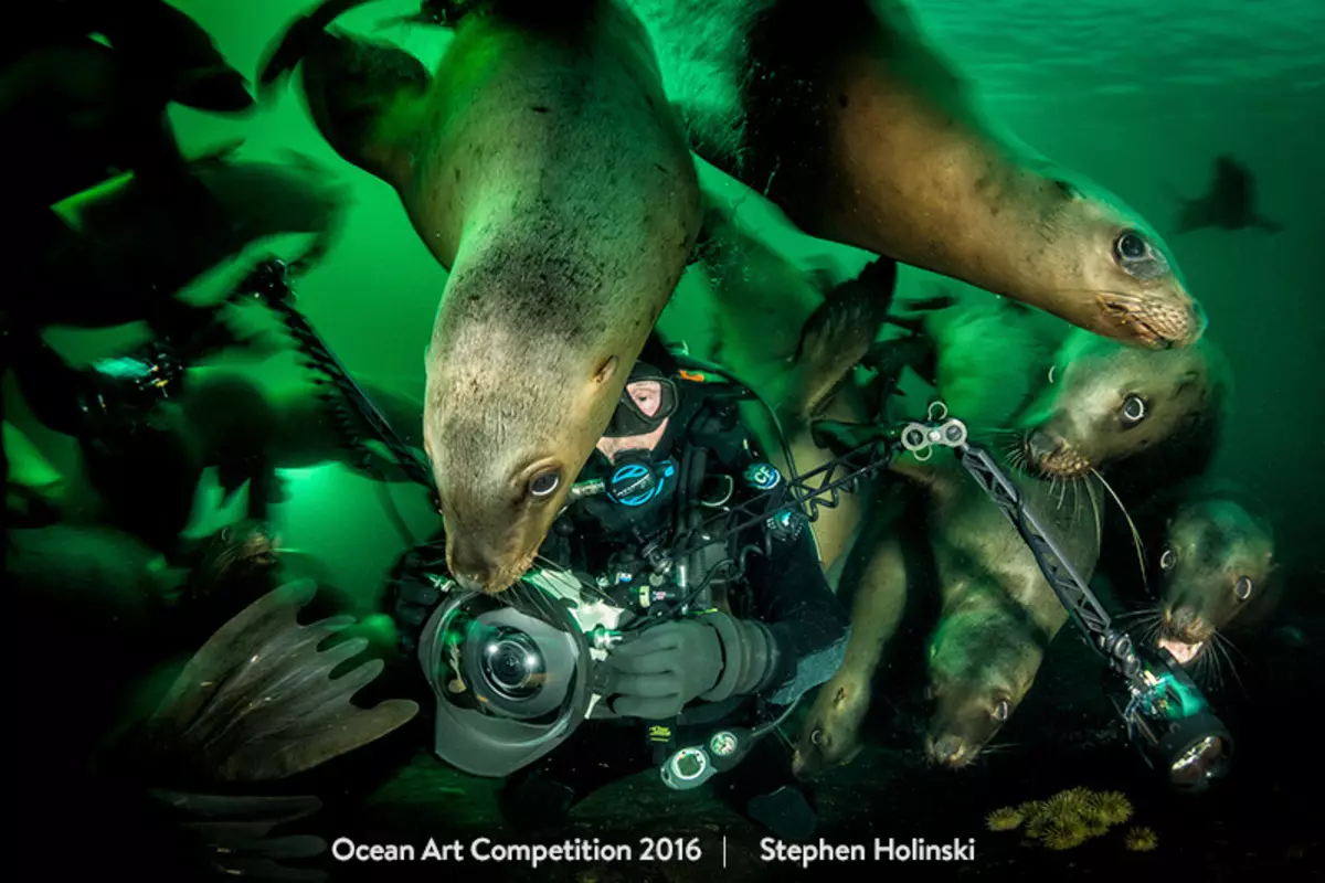 Snapshots winners fan 'e konkurrinsje fan Underwaterfotografy 2016