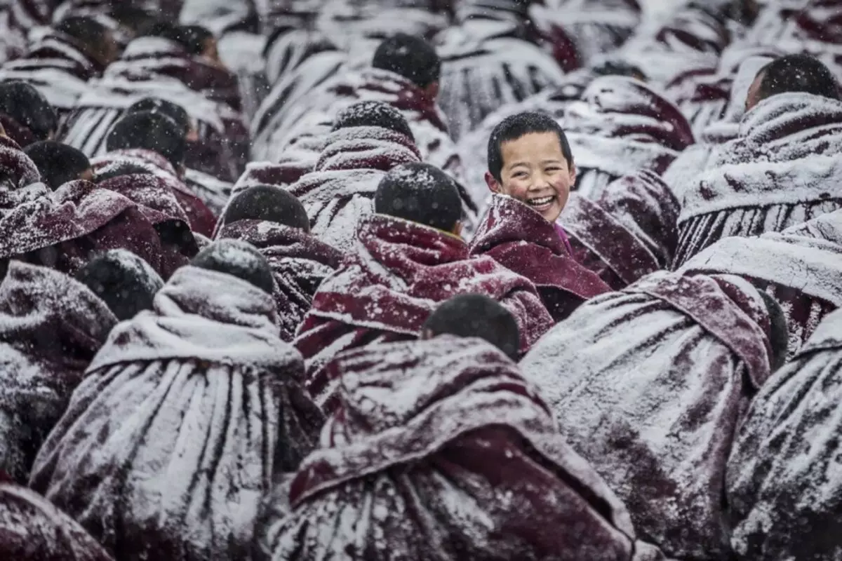 Siena International Photo Awards 2016: Mpandresy amin'ny sokajy 