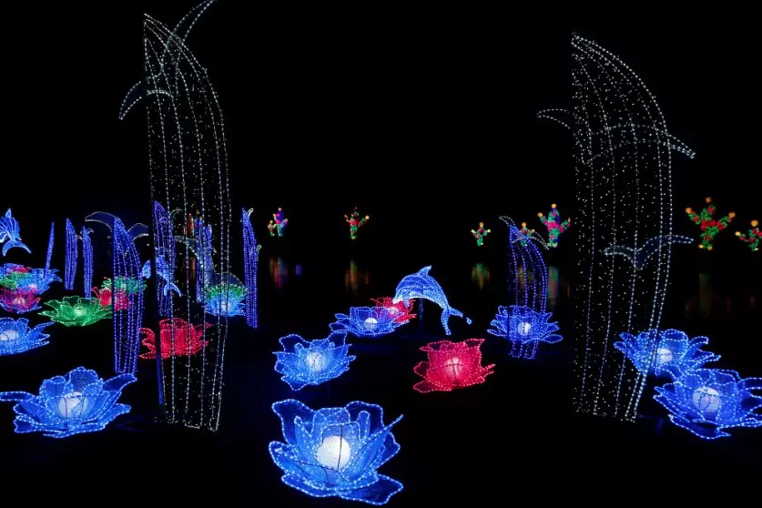 Incroyable beauté du festival des lumières magiques à Londres 8769_18