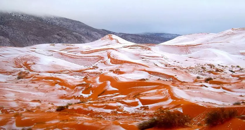 Des images rares et incroyablement belles de sucre enneigées Karim Buchetata (Karim Bouchetata) 8826_1