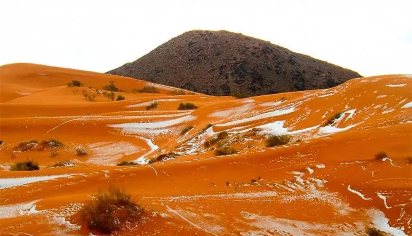 Des images rares et incroyablement belles de sucre enneigées Karim Buchetata (Karim Bouchetata) 8826_6