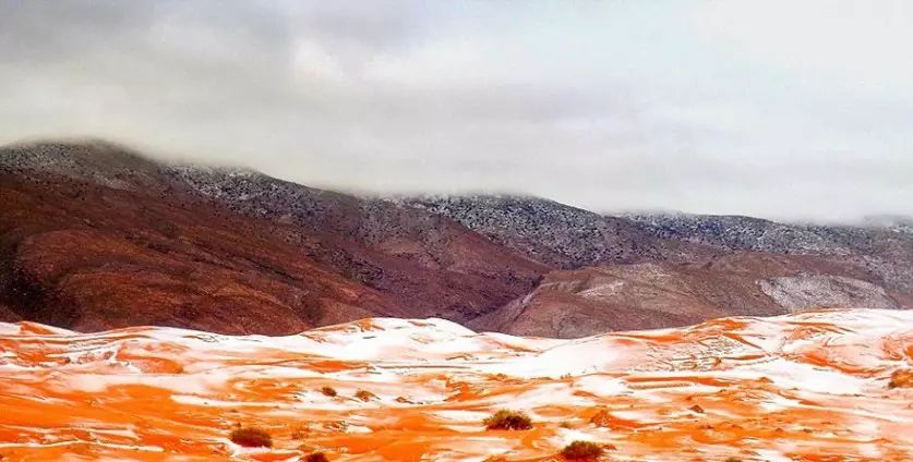 Des images rares et incroyablement belles de sucre enneigées Karim Buchetata (Karim Bouchetata) 8826_7