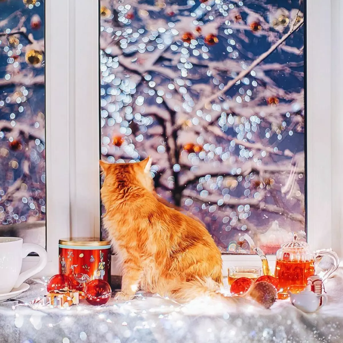 Pri pasio por beleco, talento kaj ferioj ... Fotisto Kristina Makeeva 8864_17