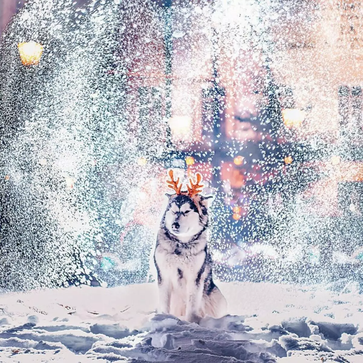 Hakkında Passion for Beauty, Talent ve Holidays ... Fotoğrafçı kristina makeeva 8864_20